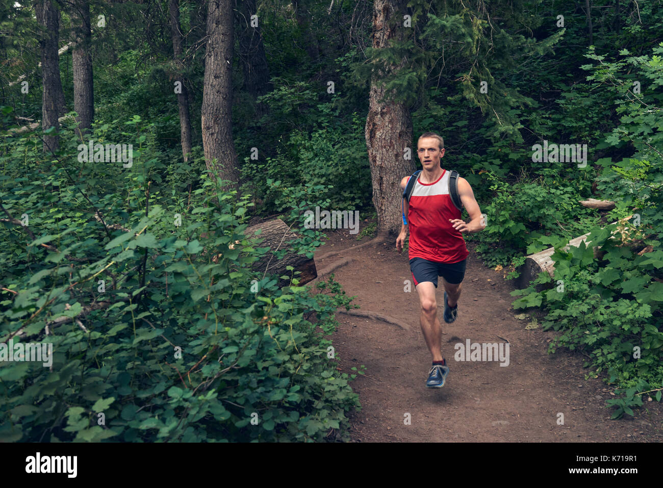 Man running through woods on trail in forest Stock Photo - Alamy