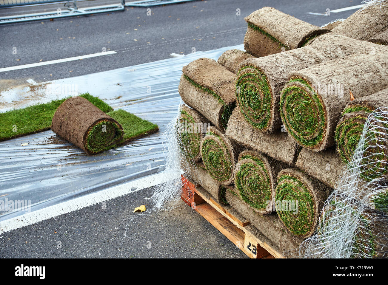 Unrolling laying rolls hi-res stock photography and images - Alamy