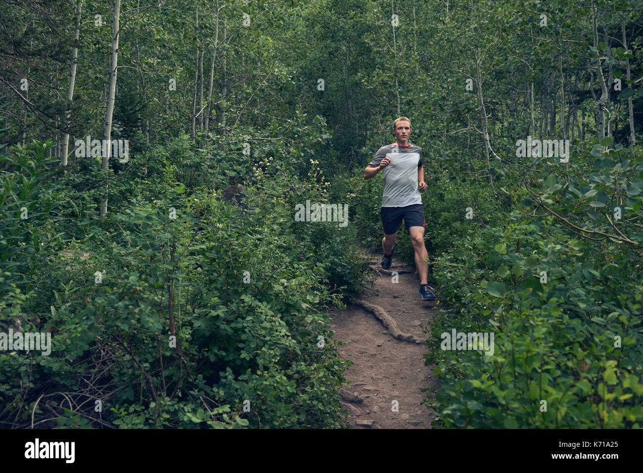 Man running on trail with headphones through the woods Stock Photo - Alamy