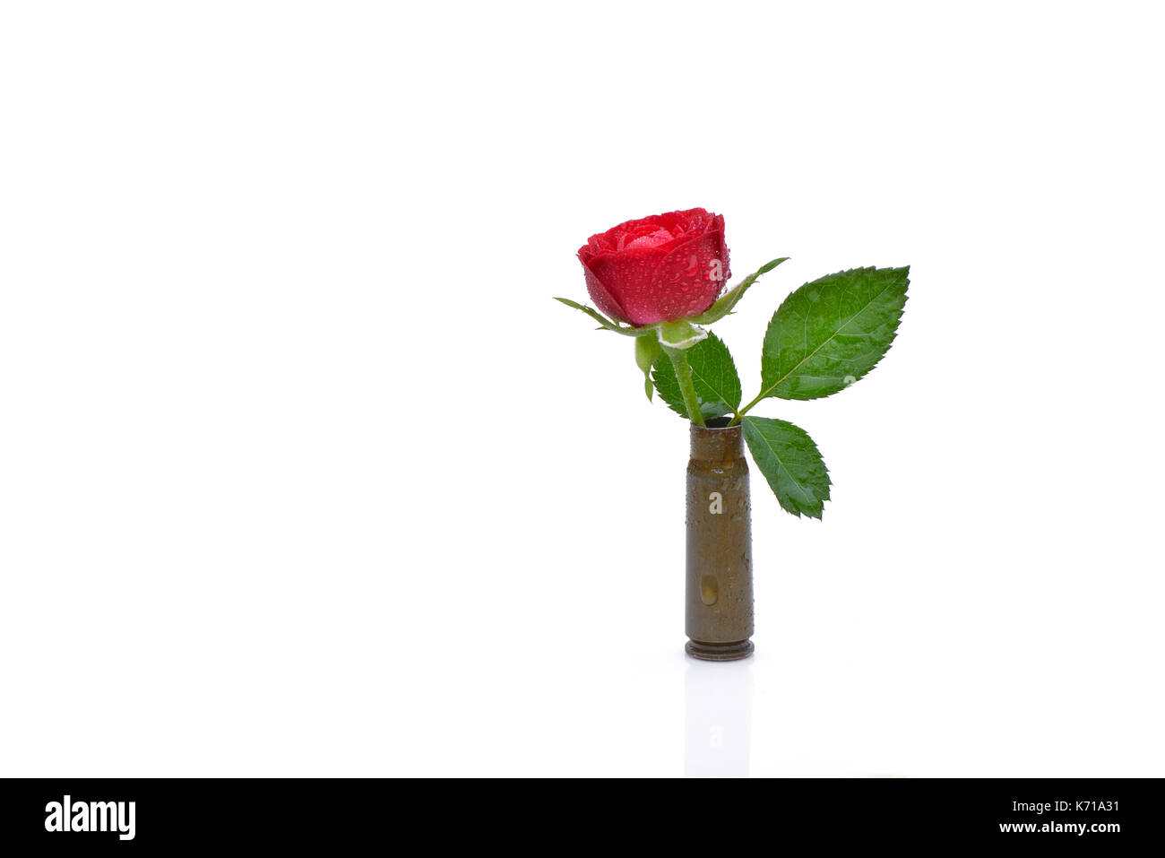 Red rose and bullet hi-res stock photography and images - Alamy