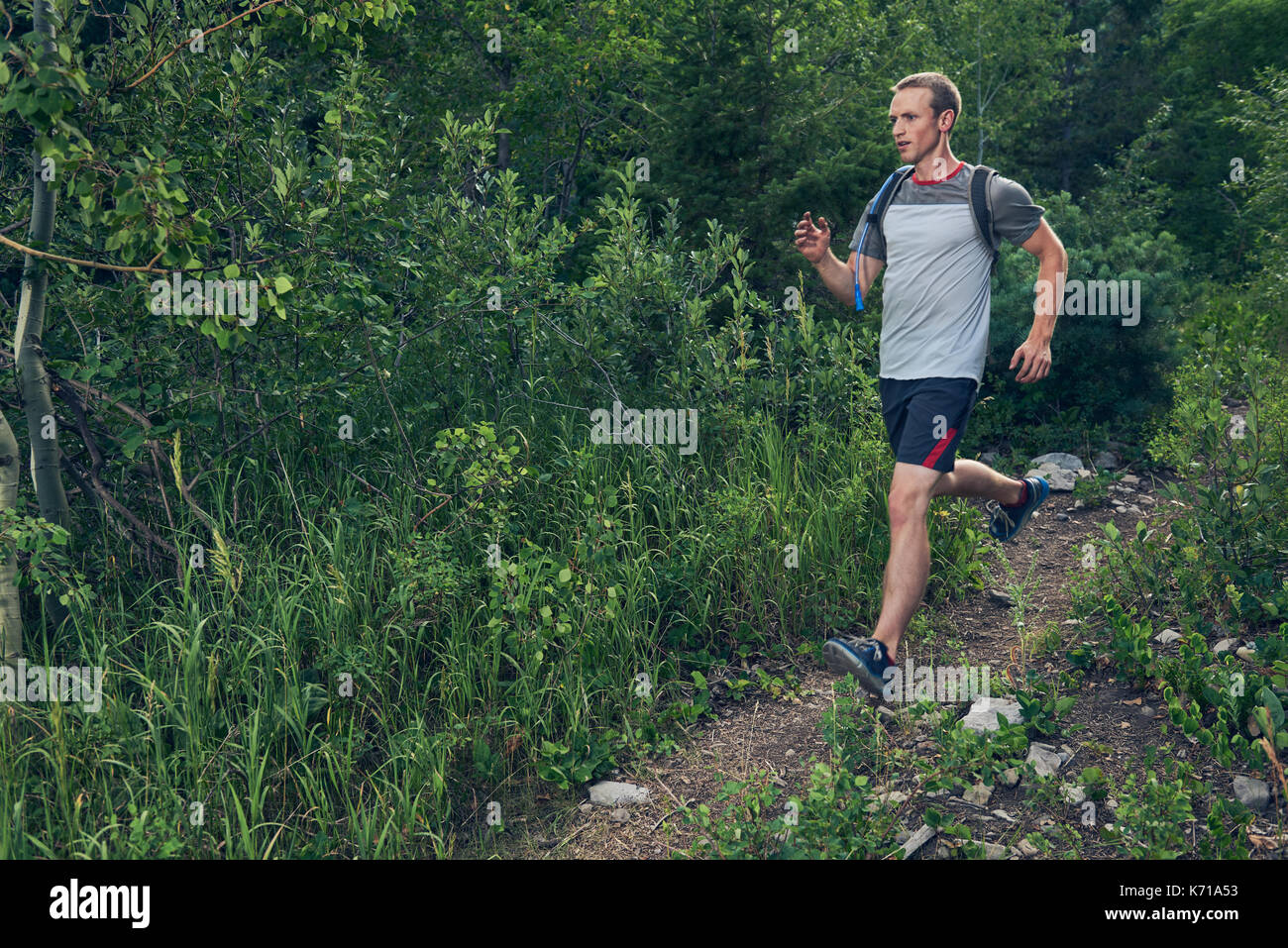Man running down trail in the woods Stock Photo - Alamy