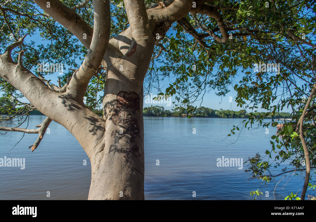 Rio Machado em Ji-Paraná Stock Photo - Alamy
