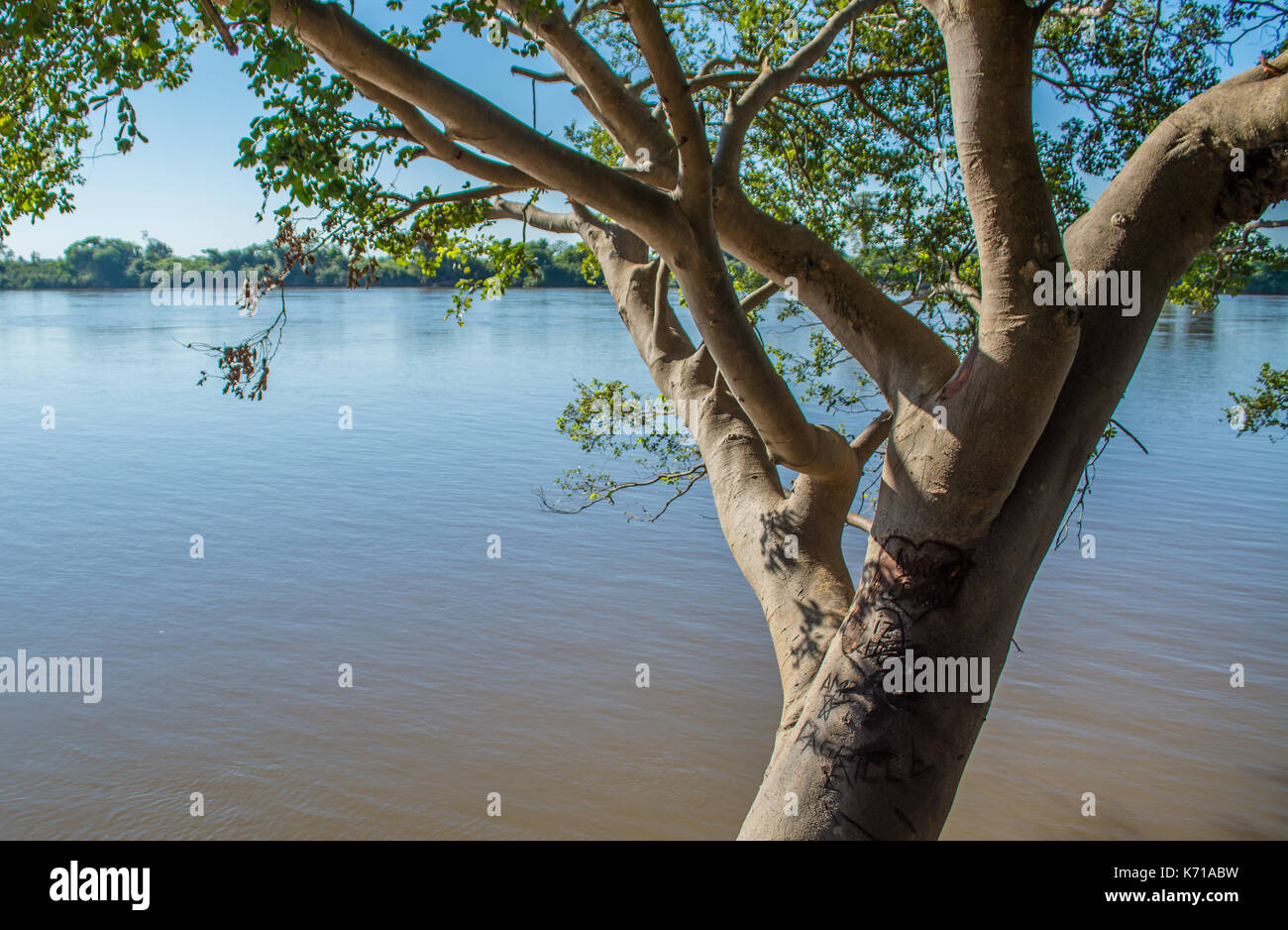 Rio Machado em Ji-Paraná Stock Photo - Alamy