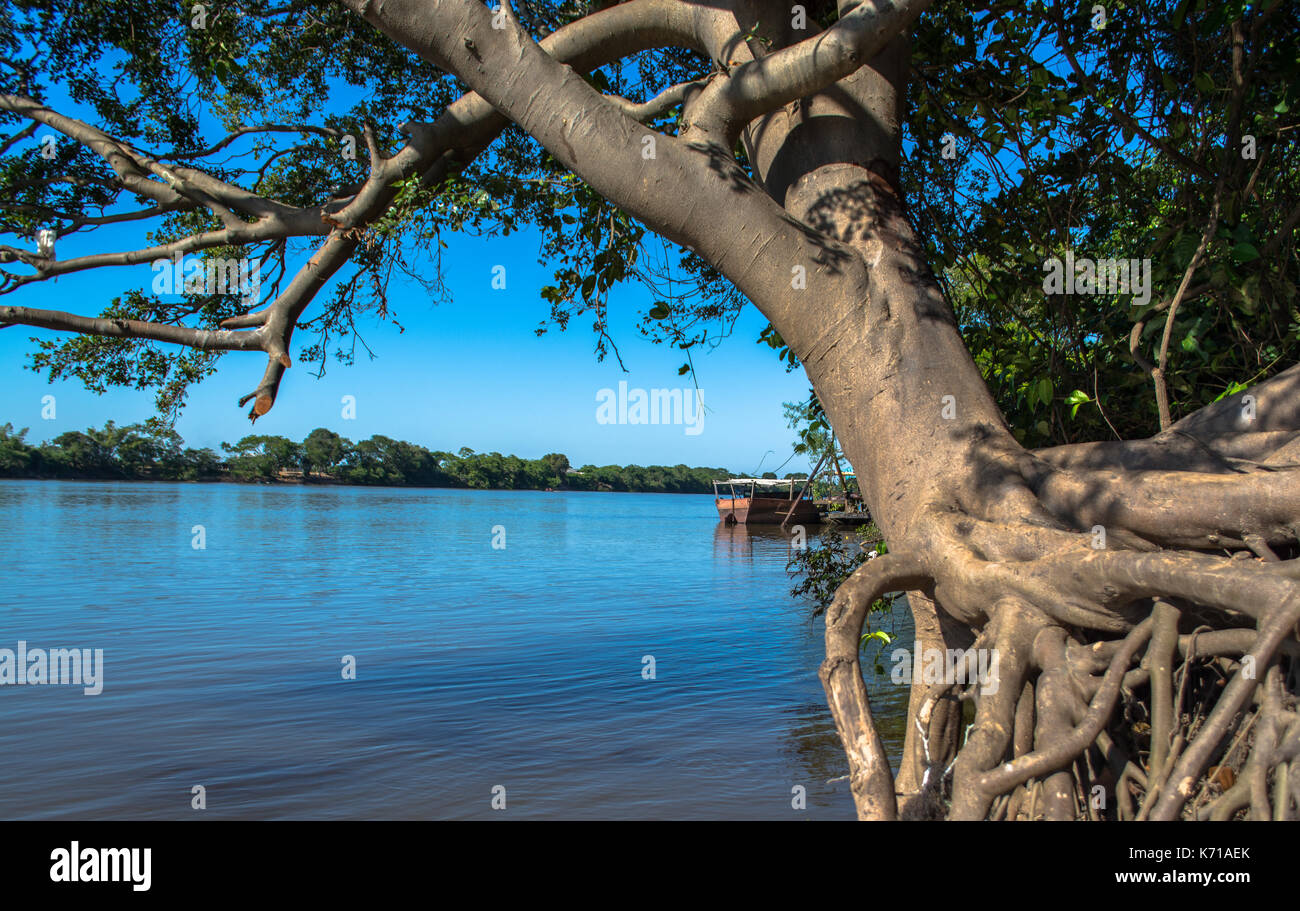 Rio Machado em Ji-Paraná Stock Photo - Alamy