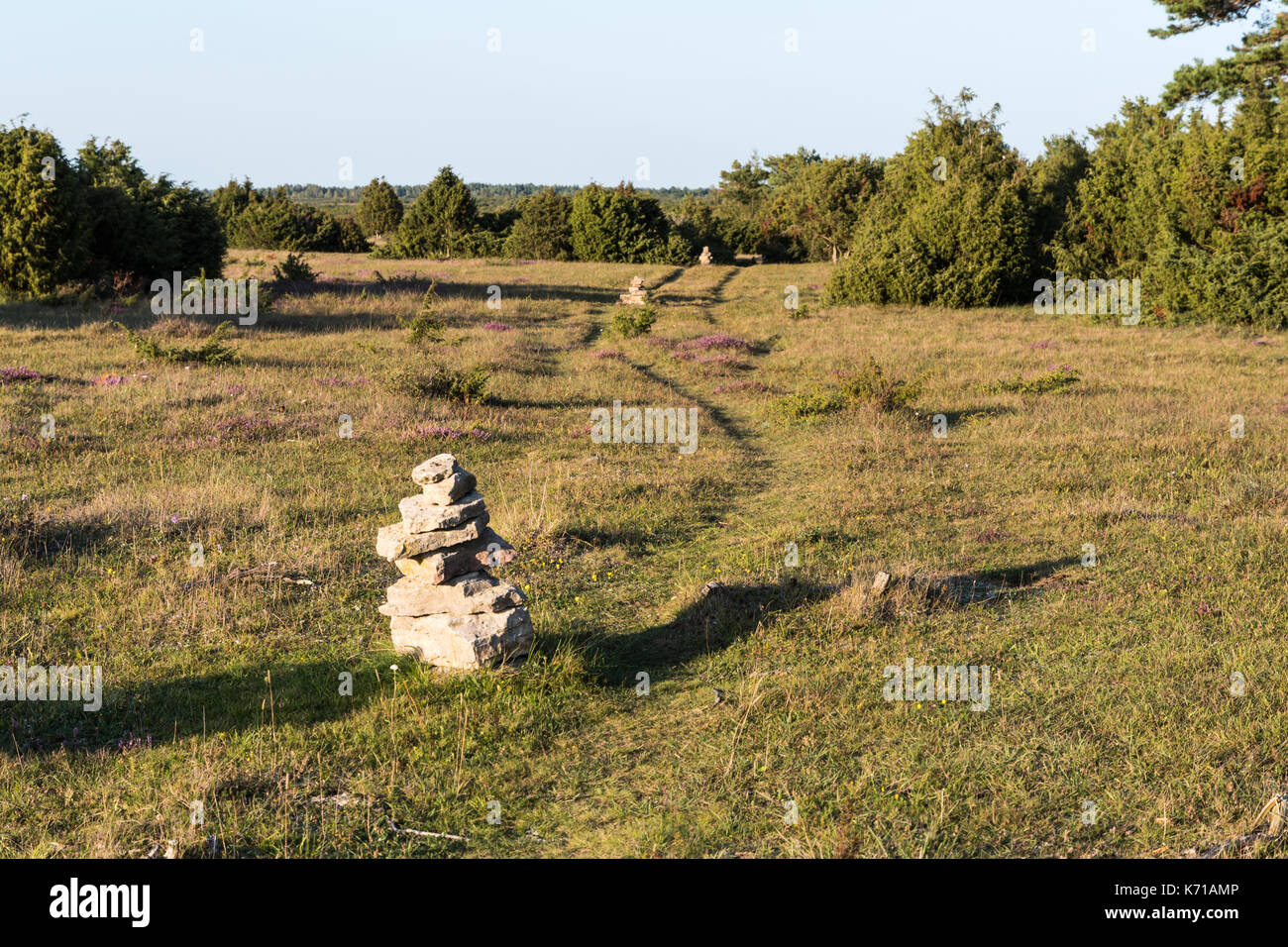Among grass and heather hi-res stock photography and images - Alamy