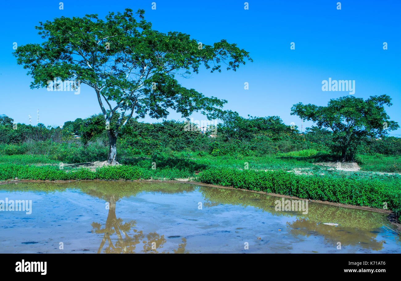 Rio Machado em Ji-Paraná Stock Photo - Alamy