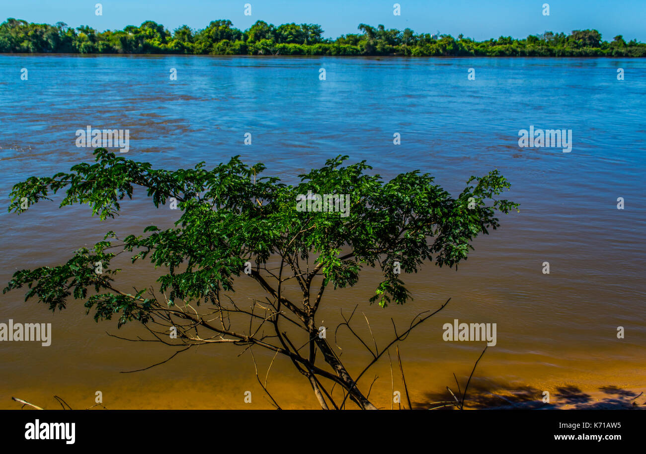 Rio Machado em Ji-paraná Stock Photo - Alamy
