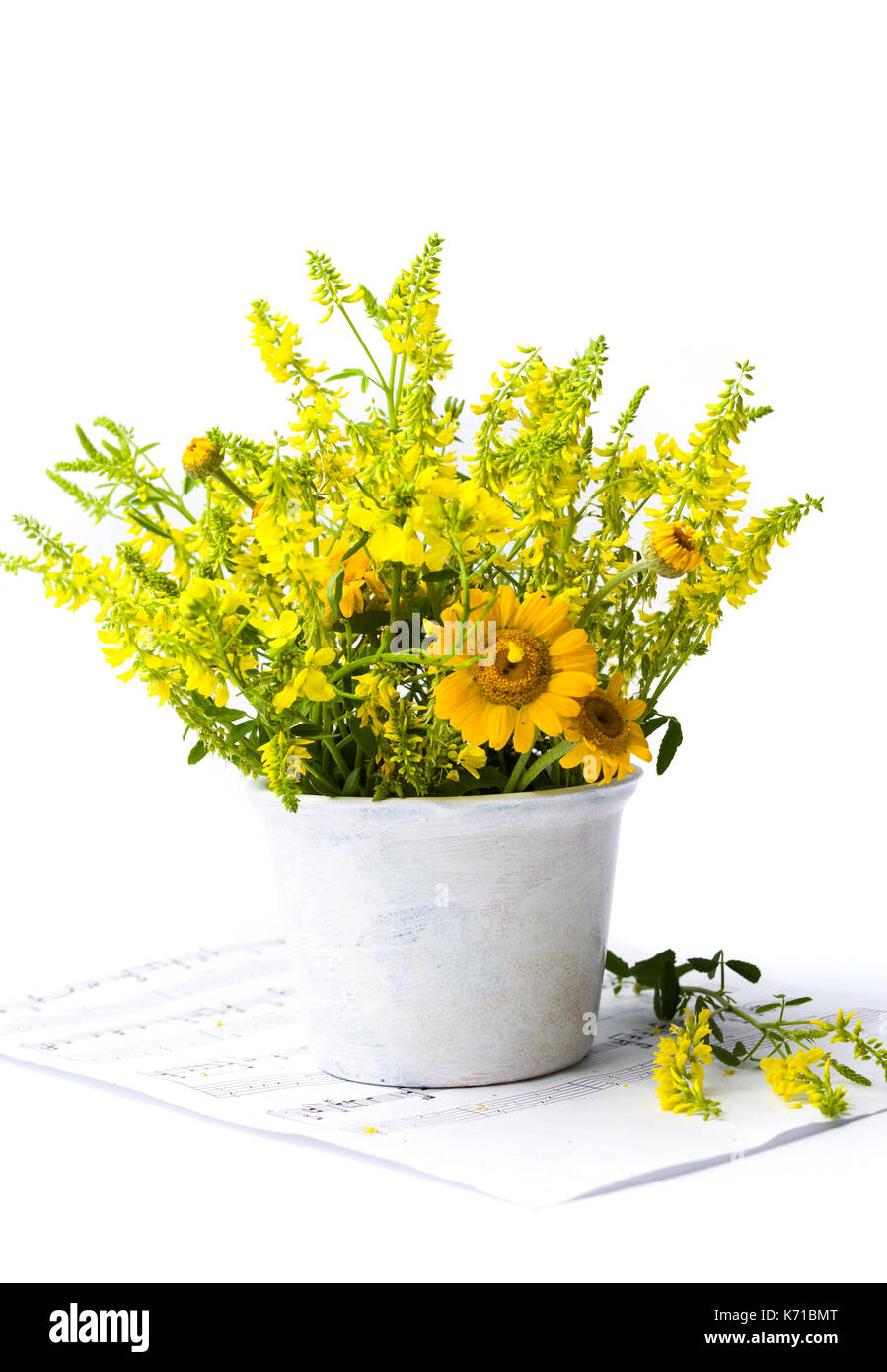 Music note on yellow Cut Out Stock Images & Pictures - Alamy