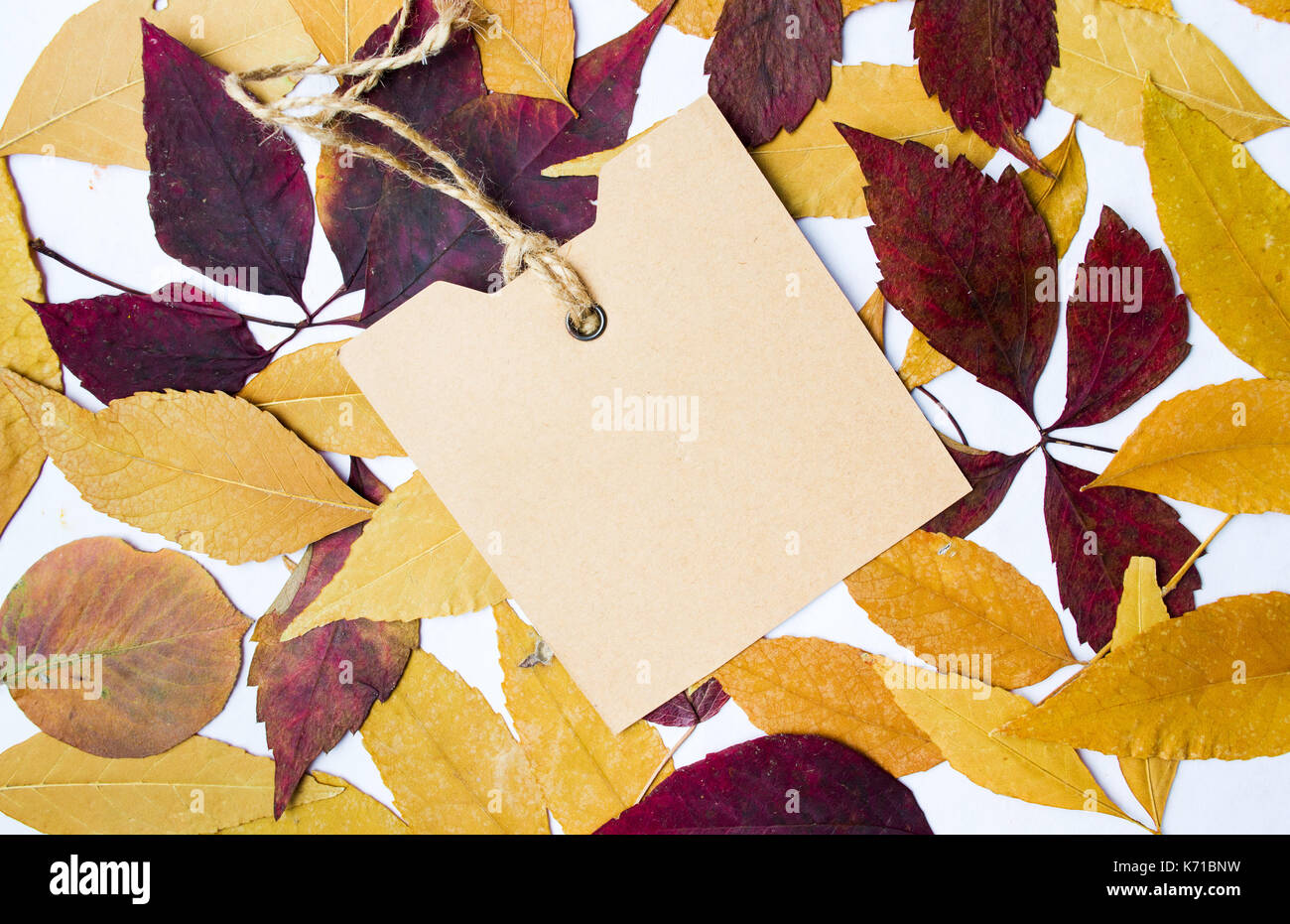 Colorful autumn leaves and empty card note Stock Photo - Alamy