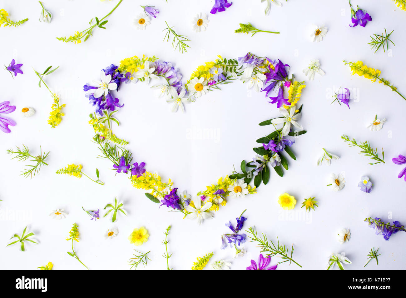 Colorful wildflowers hi-res stock photography and images - Alamy
