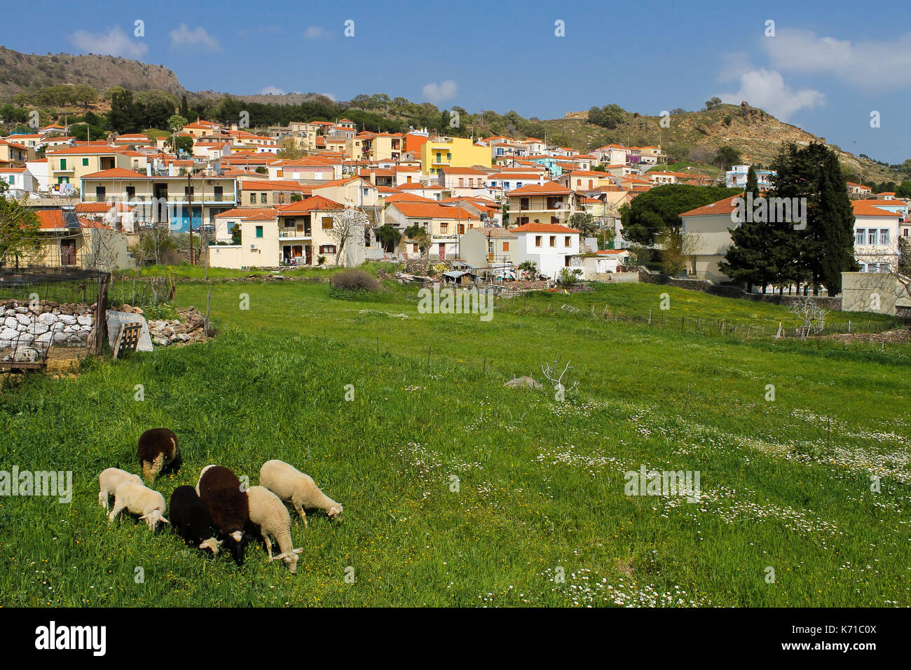 Landscape pasture view blue hi-res stock photography and images - Alamy