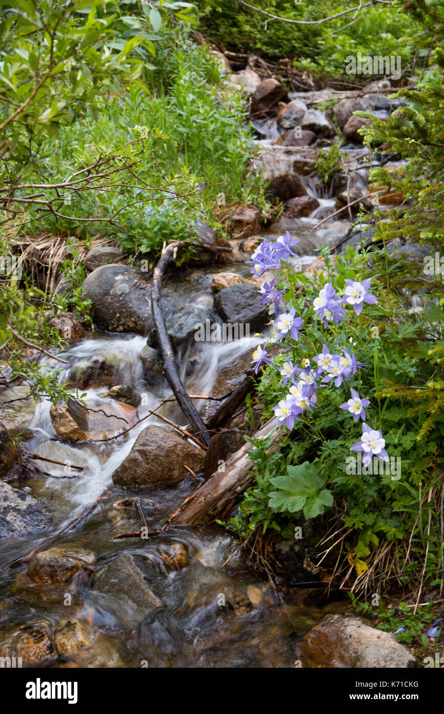 Refreshing stream cascade hi-res stock photography and images - Alamy