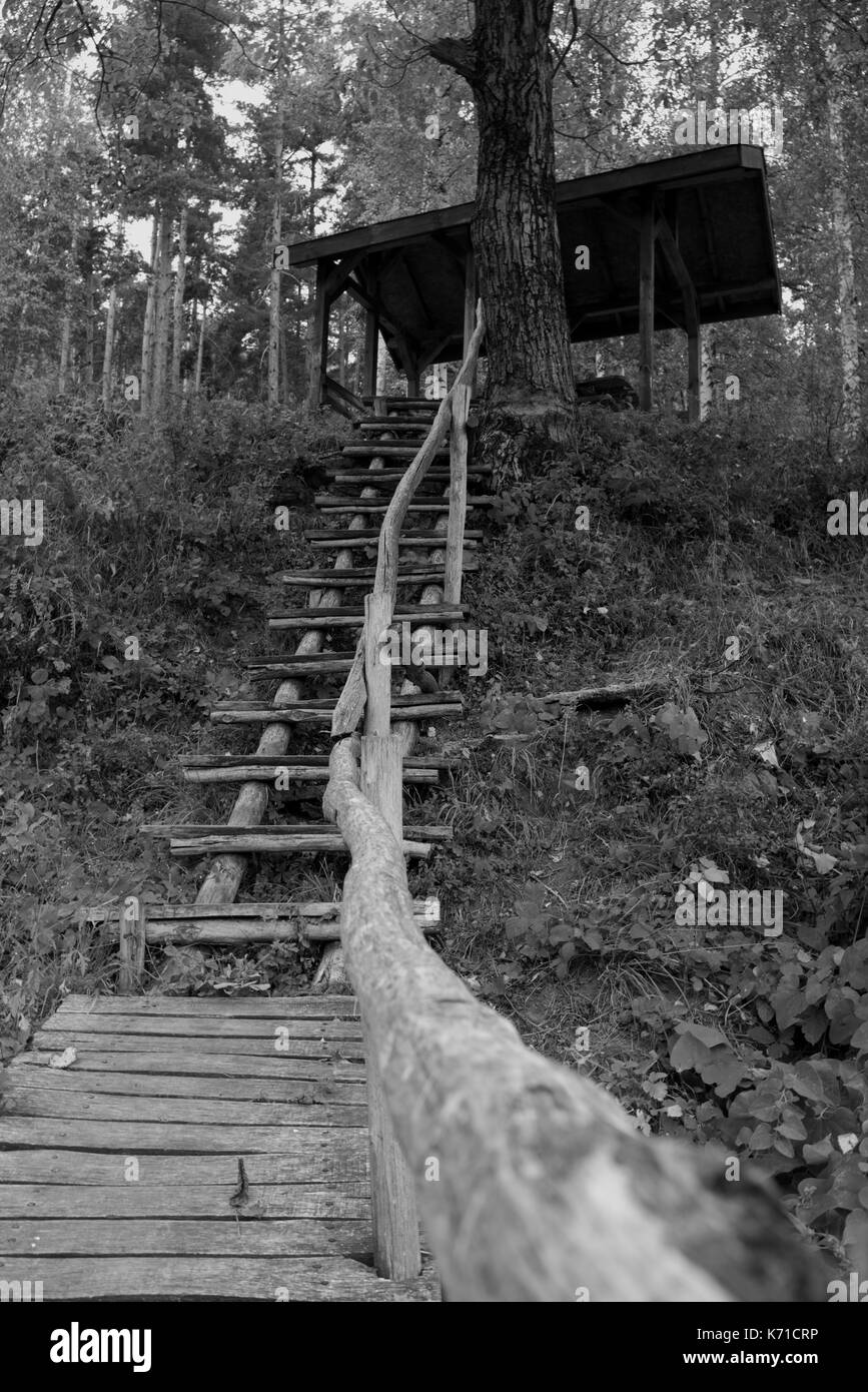 Forest guard Black and White Stock Photos & Images - Alamy