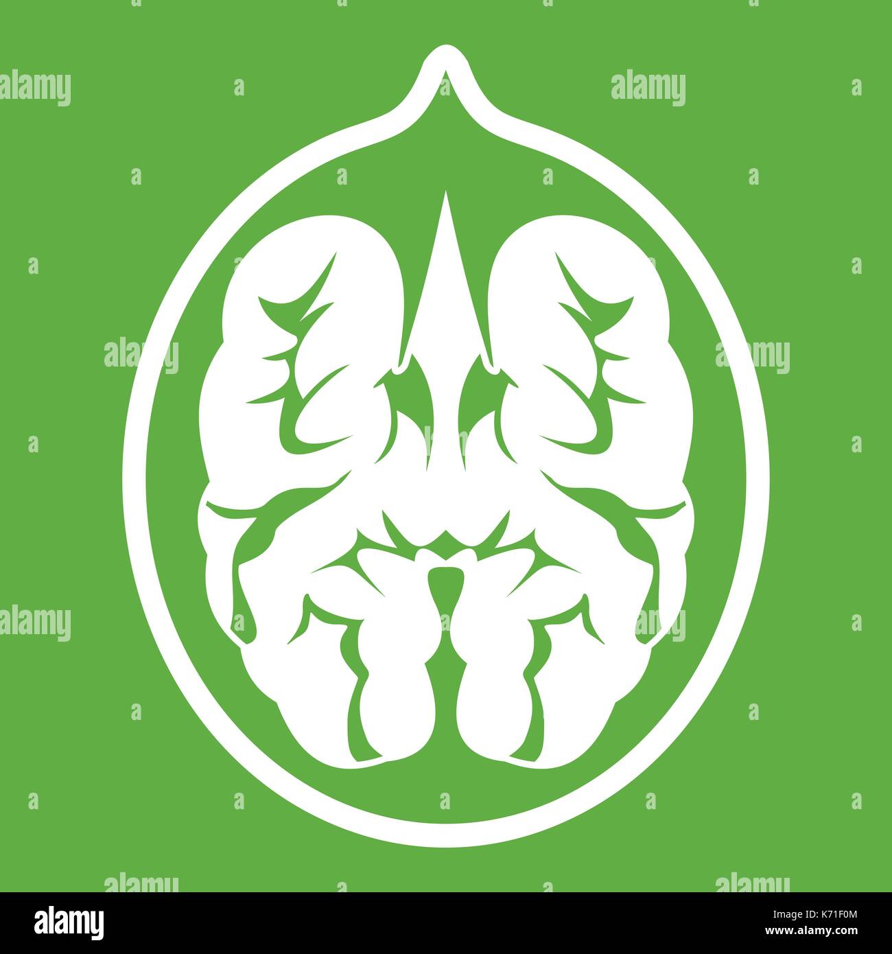 Raw whole dried green Stock Vector Images - Alamy