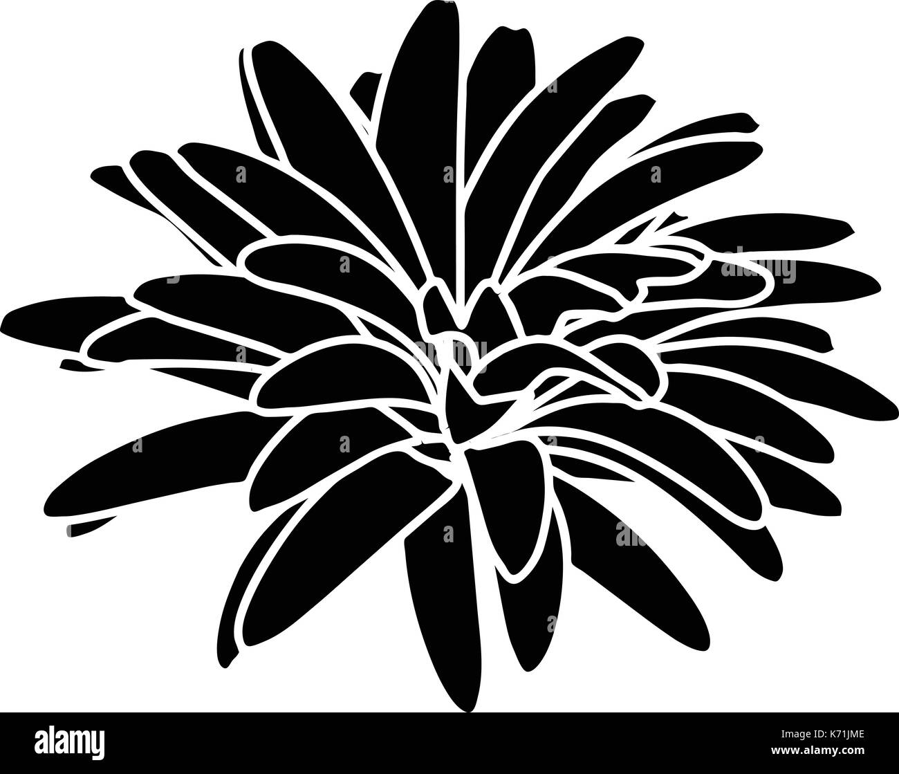 Aster flower icon, simple black style Stock Vector Image & Art - Alamy