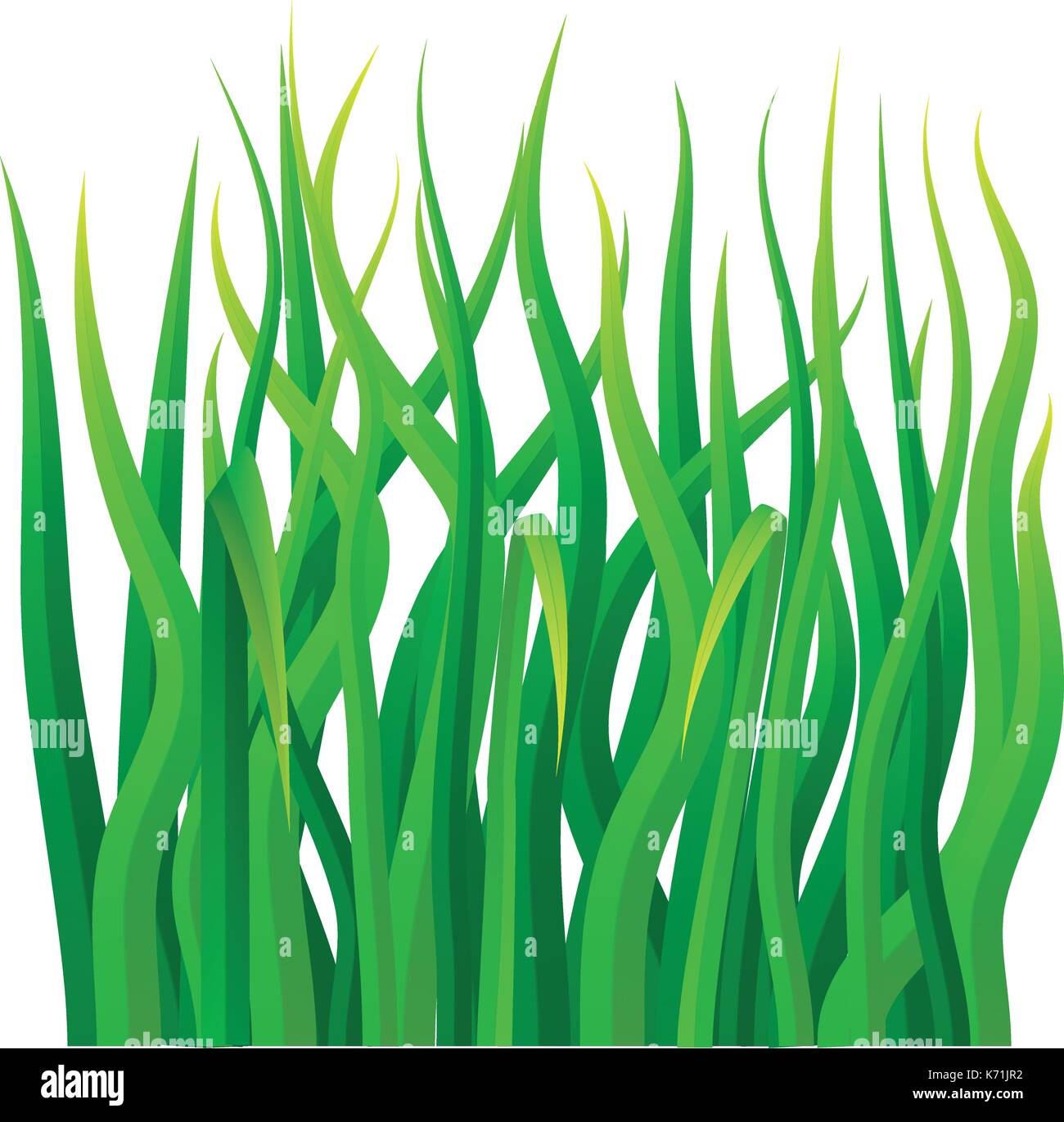 Green grass icon, realistic style Stock Vector Image & Art - Alamy