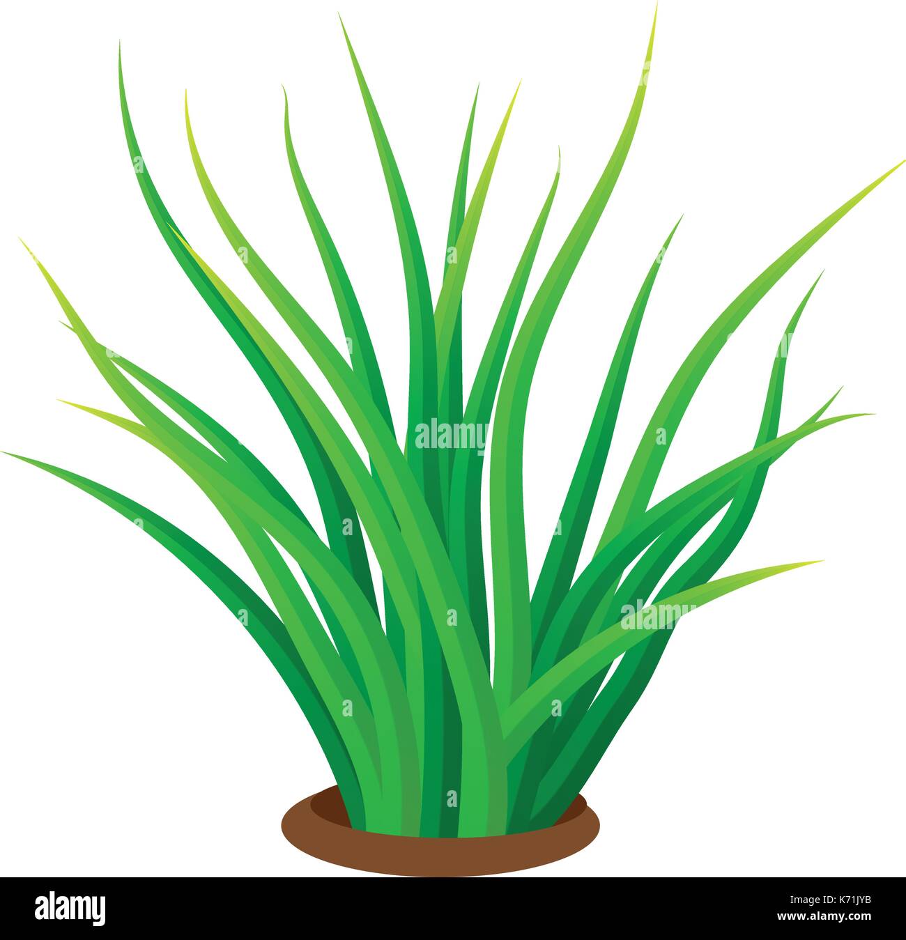 Grass icon, realistic style Stock Vector Image & Art - Alamy