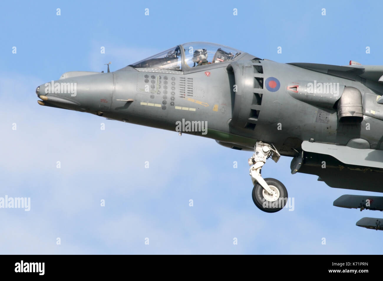 Harrier gr9 hi-res stock photography and images - Alamy