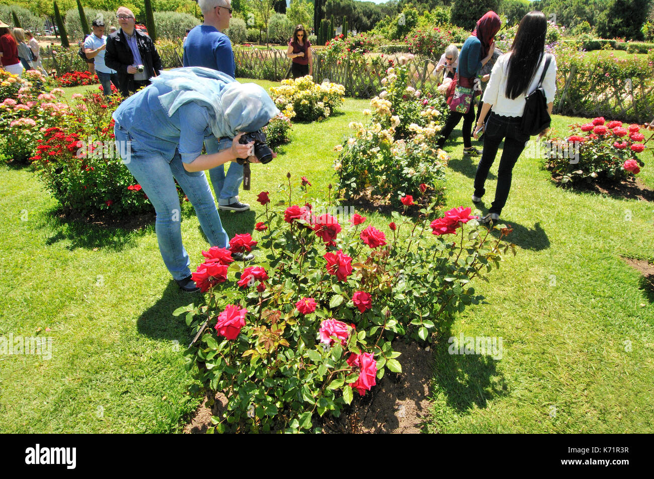 Roses contest. Cervantes Park, Parc de Cervantes, Diagonal avenue 708 ...