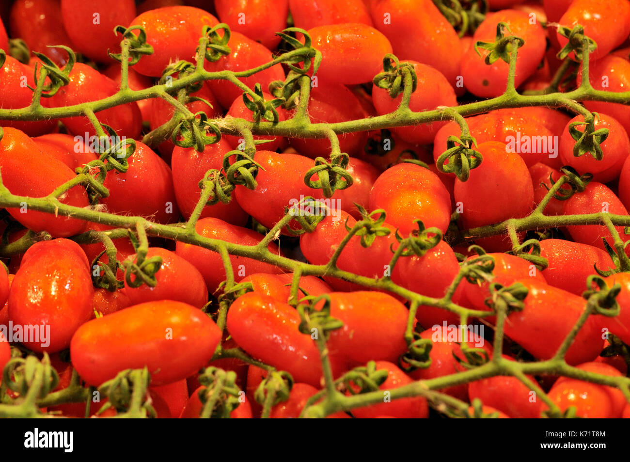 Tomatoes, La Boqueria market, Barcelona, Catalonia, Spain Stock Photo ...