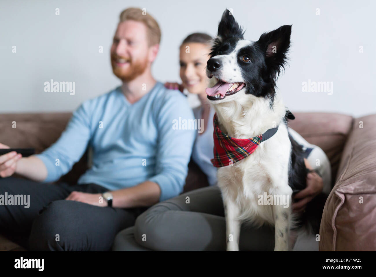 Beautiful couple watching television at home with their dog Stock Photo ...
