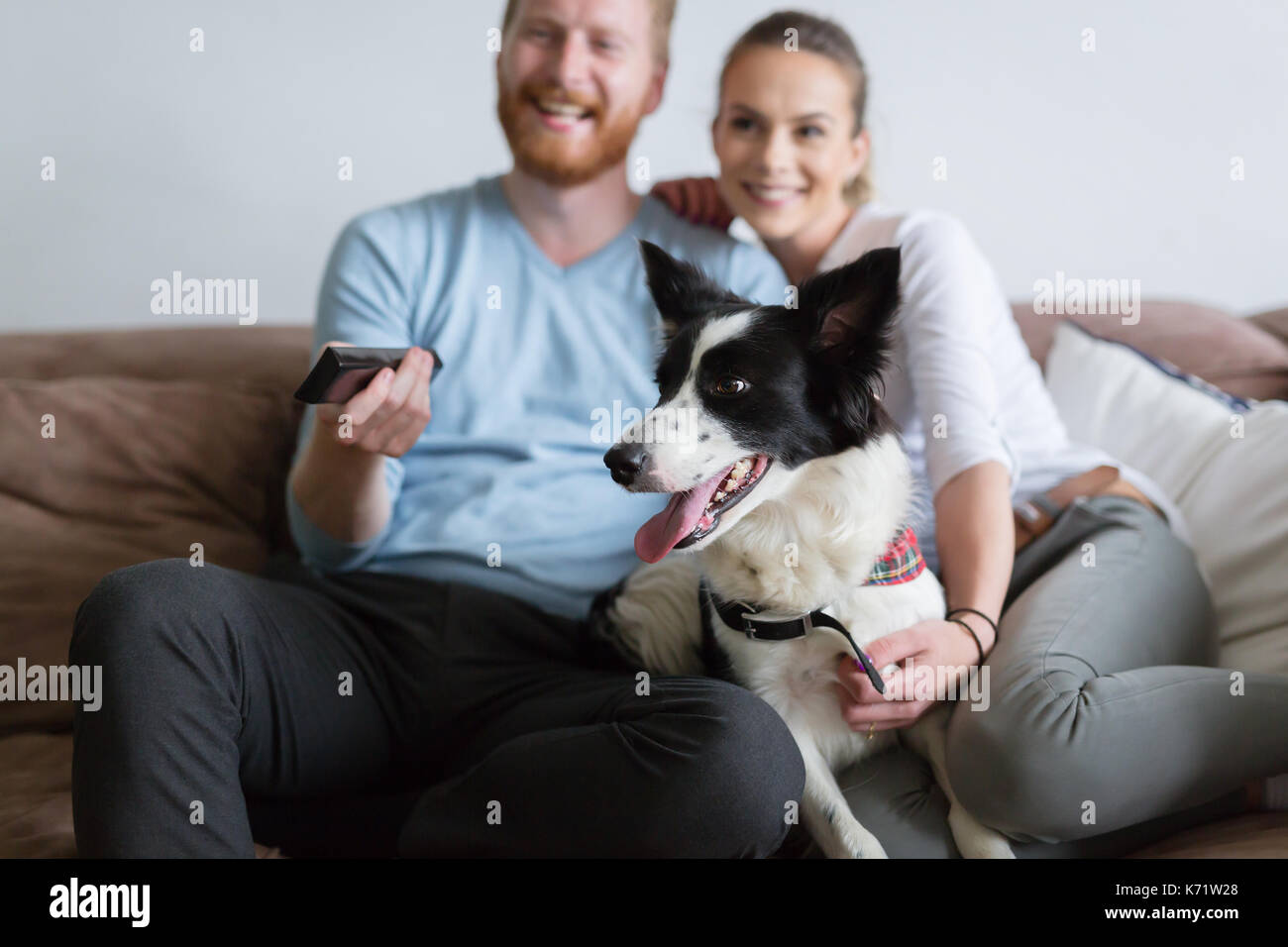 Female television dog hi-res stock photography and images - Alamy