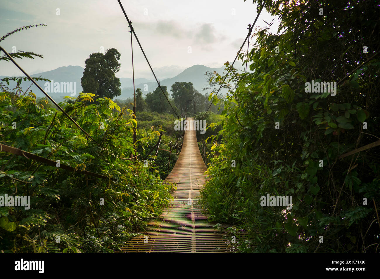 A wooden foot bridge across a river in Wayanad district in Kerala ...