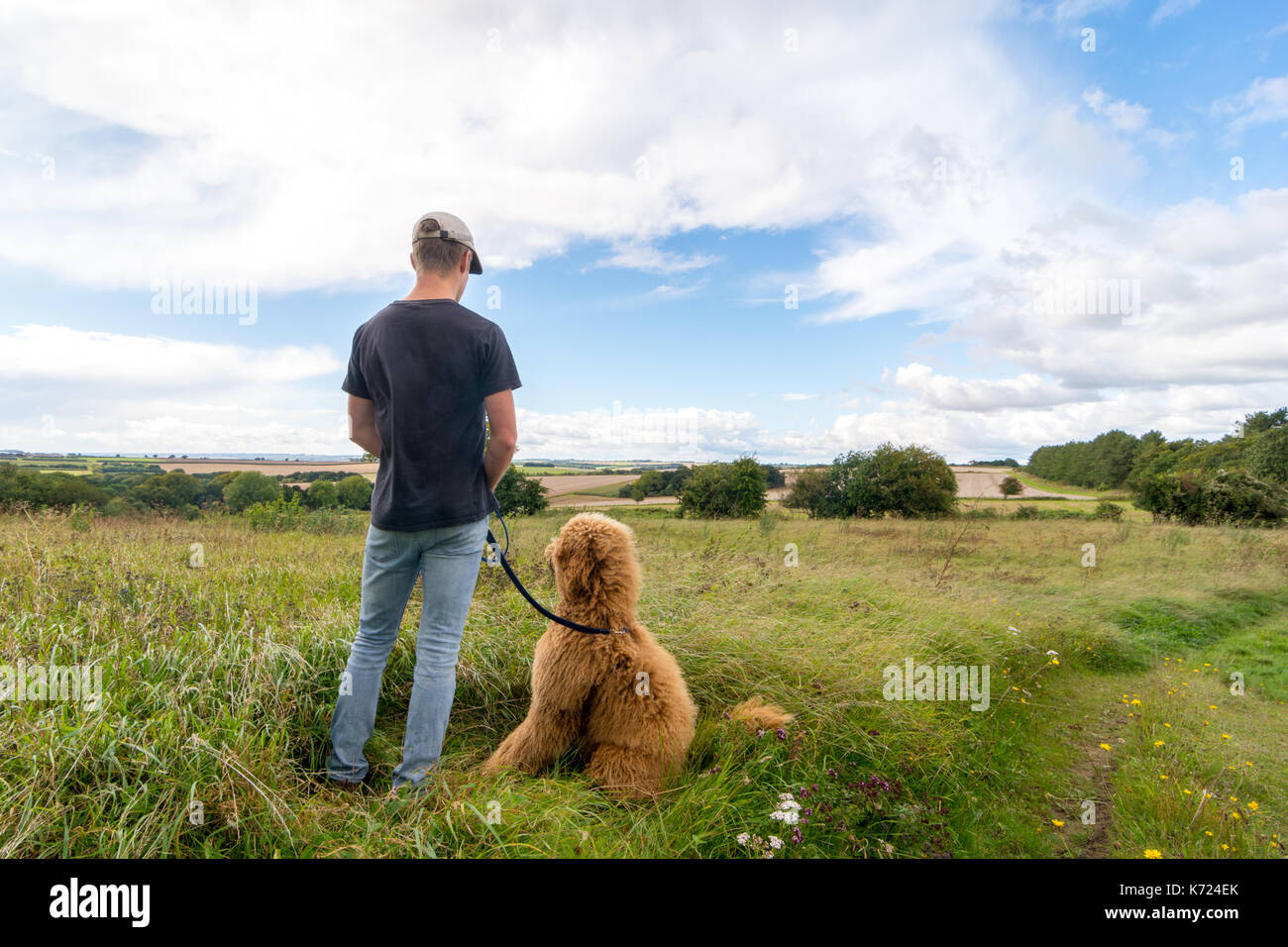 Walking the dog countryside hi-res stock photography and images - Alamy