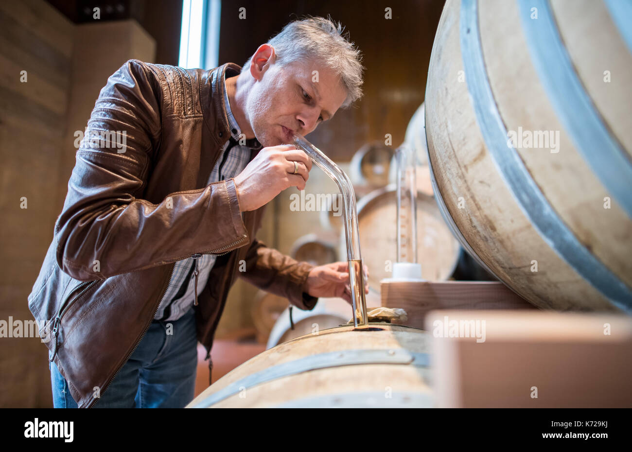 Rüdiger Sasse from the Sasse distillery inspects corn distilled by the ...