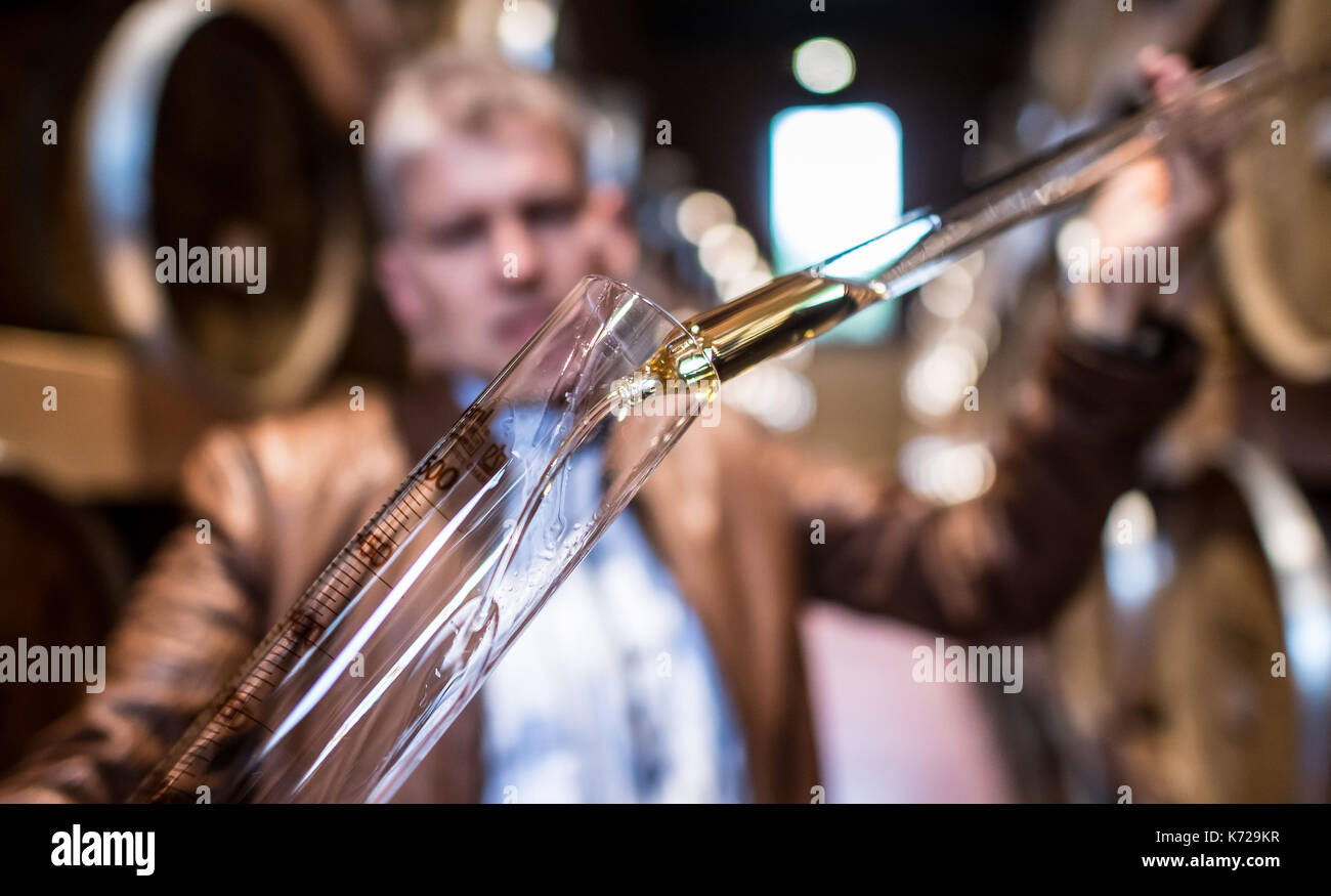 Rüdiger Sasse from the Sasse distillery inspects corn distilled by the ...
