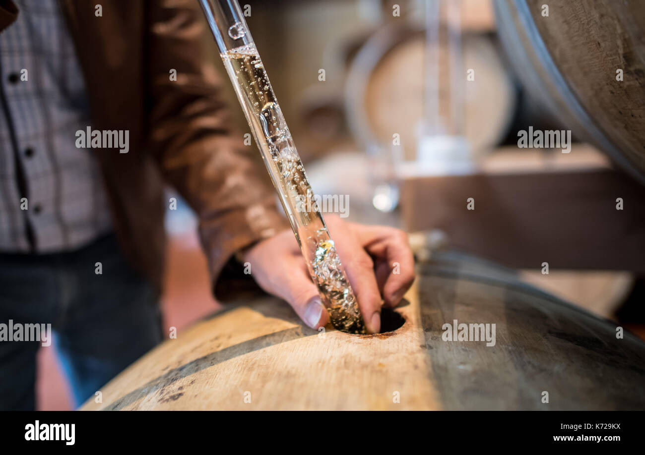 Rüdiger Sasse from the Sasse distillery inspects corn distilled by the ...