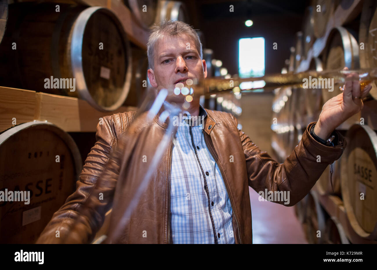 Rüdiger Sasse from the Sasse distillery inspects corn distilled by the ...