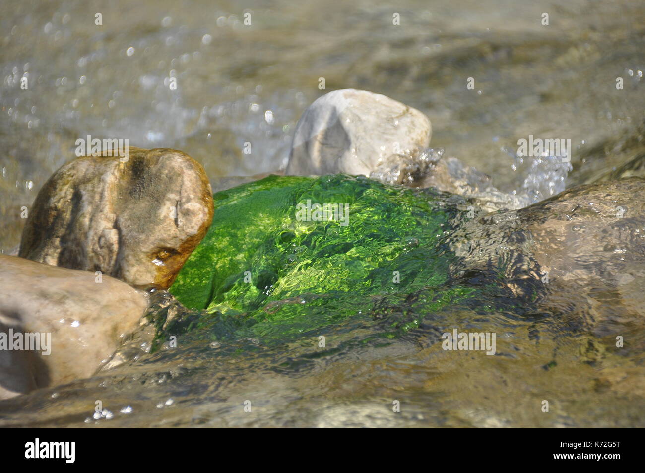 Watermelon, green river hi-res stock photography and images - Alamy