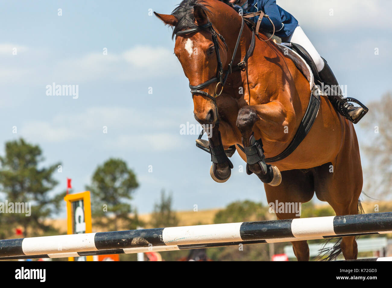Show jumping horse rider unidentified closeup jump action over poles ...