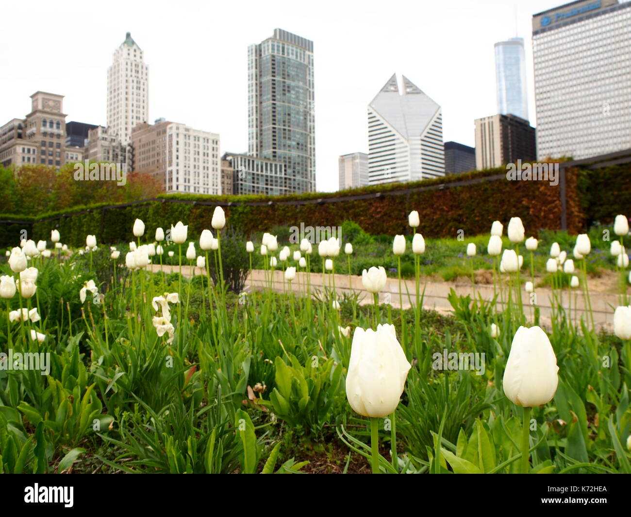 Chicago diamond building hi-res stock photography and images - Alamy