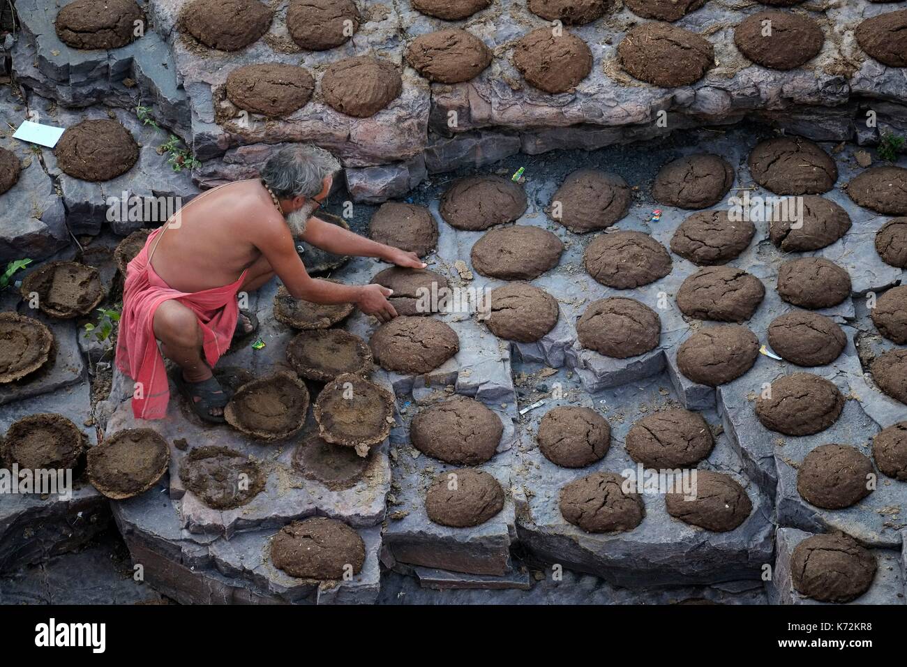 Cow Patties High Resolution Stock Photography and Images - Alamy