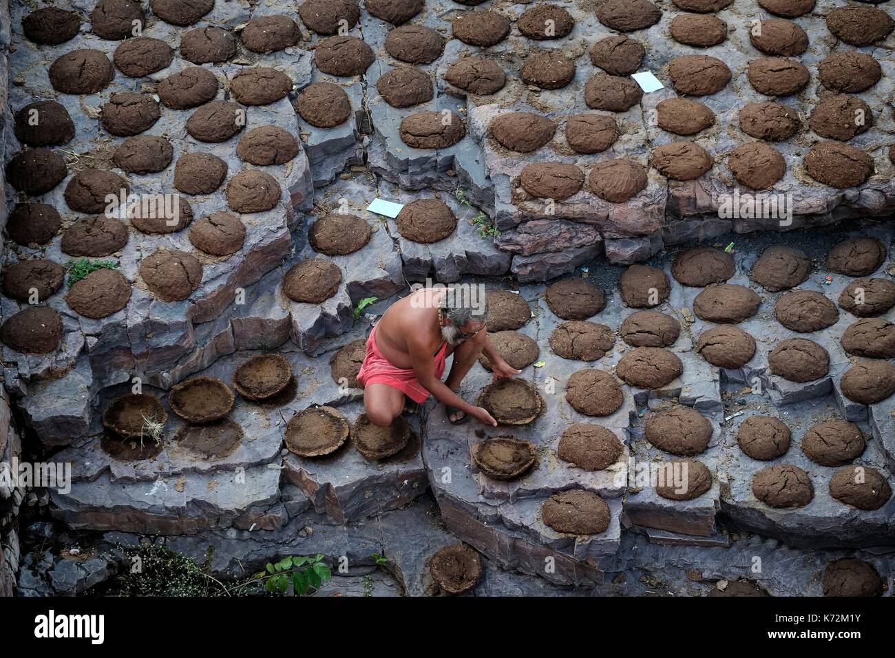 Cow patties hi-res stock photography and images - Alamy