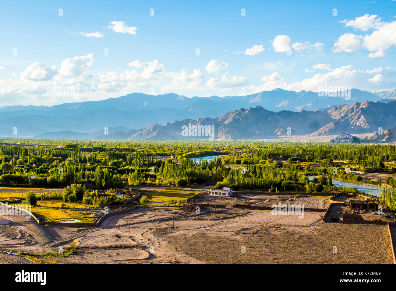 Landscape with pine trees and mountains Stock Photo - Alamy