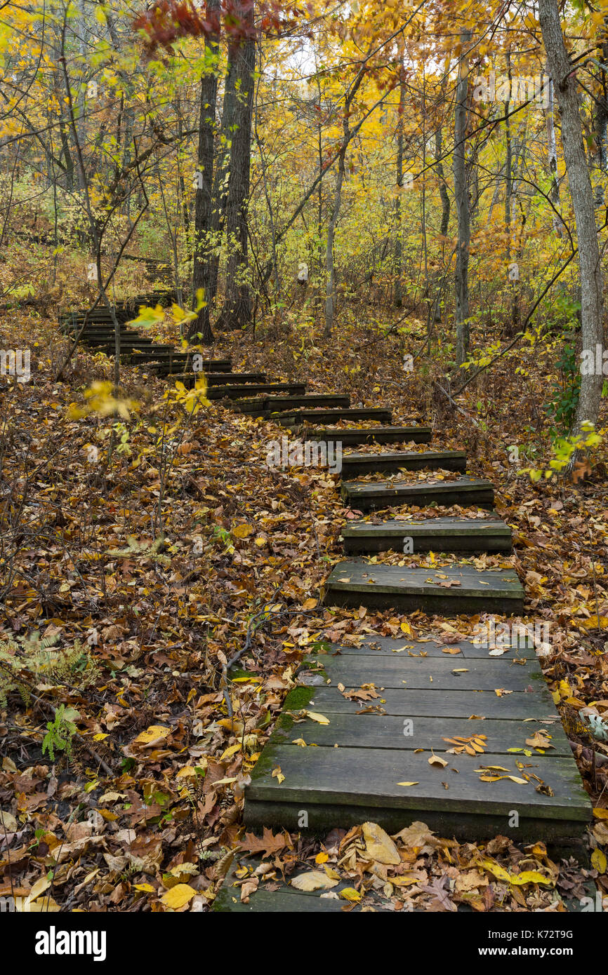Staircase trail hi-res stock photography and images - Alamy