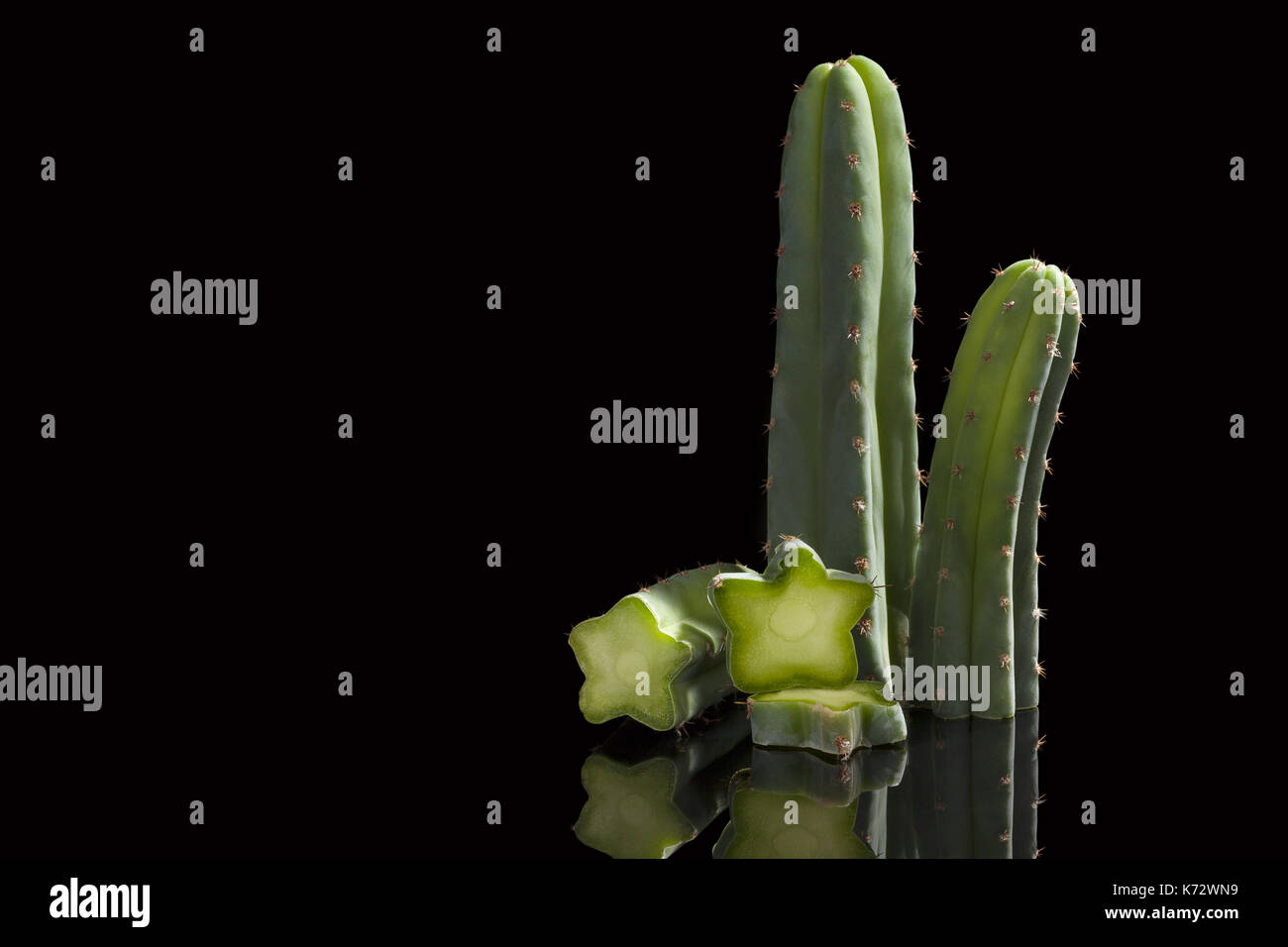 San Pedro cactus pieces isolated on black background. Traditional ...