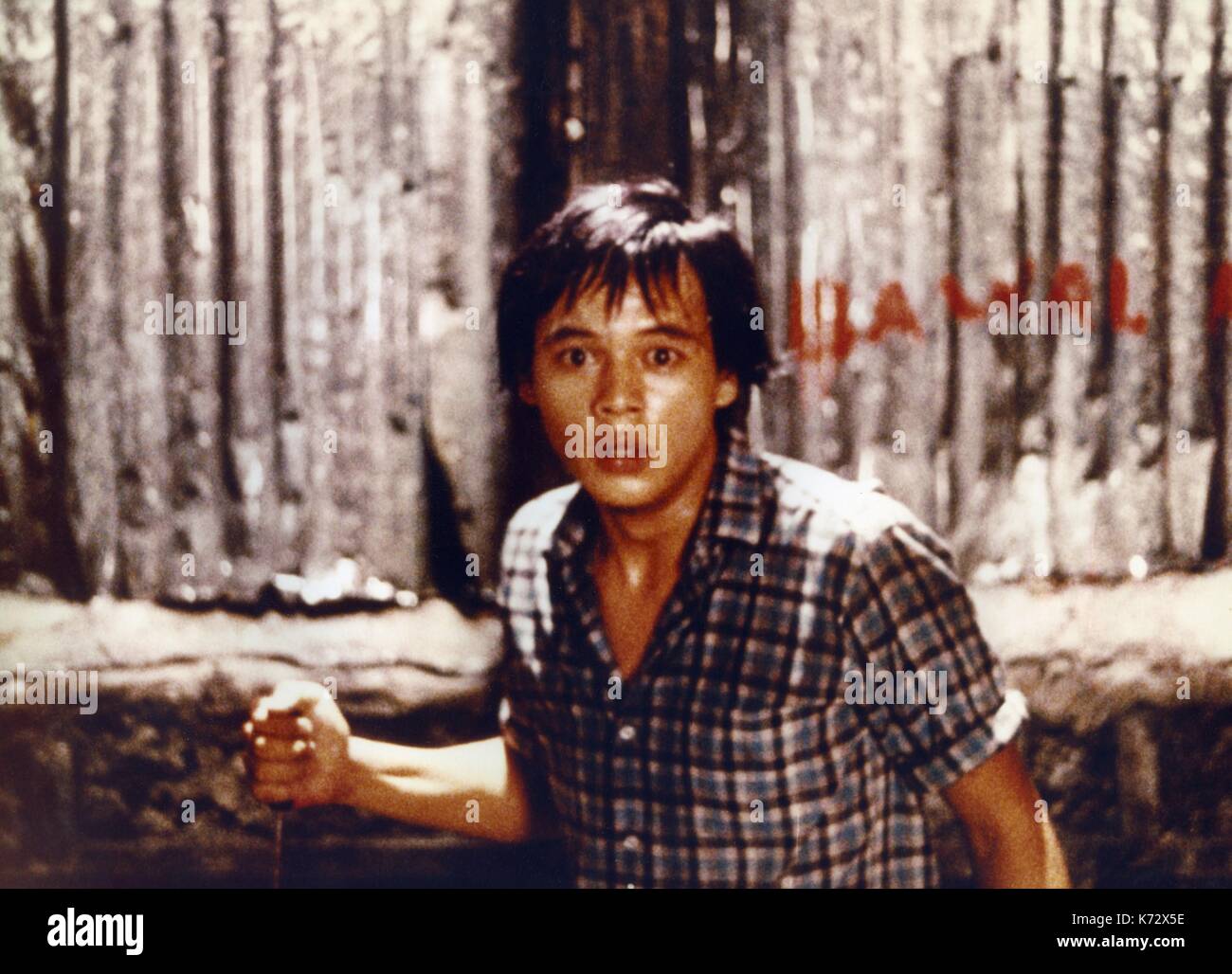 Bembol roco hi-res stock photography and images - Alamy