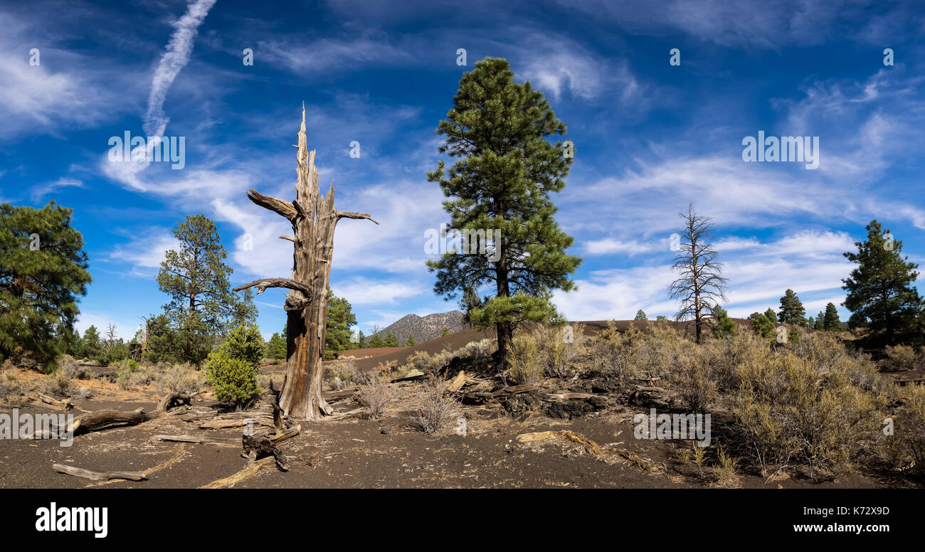 Sunset Crater Volcano National Monument lava flow, Arizona Stock Photo ...