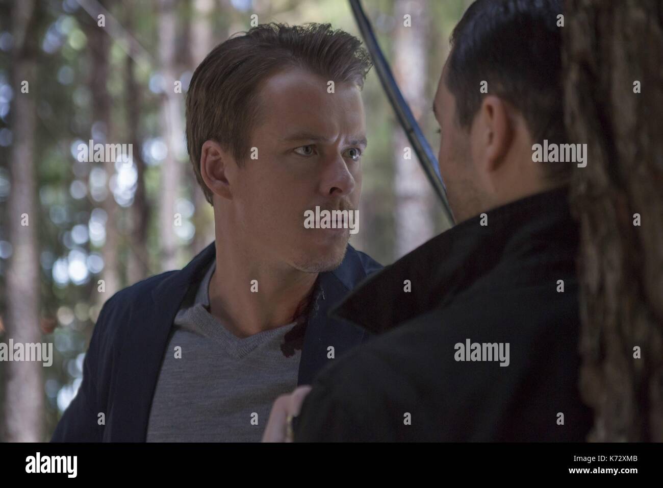 Todd lasance vampire diaries hi-res stock photography and images - Alamy