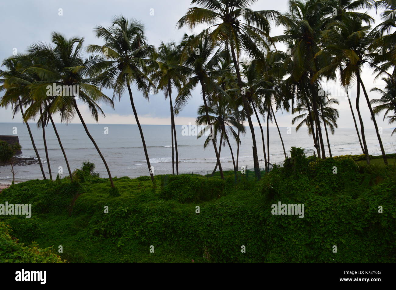 Sinquerim Beach, Goa, India Stock Photo - Alamy Sinquerim Beach, Goa, India Stock Photo - Alamy