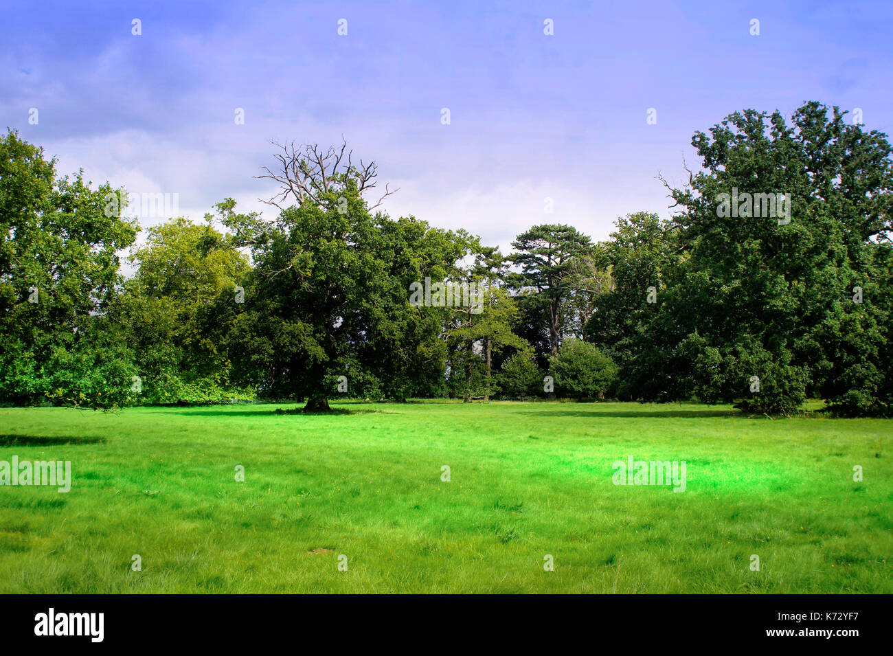 English parkland in the summer Stock Photo - Alamy