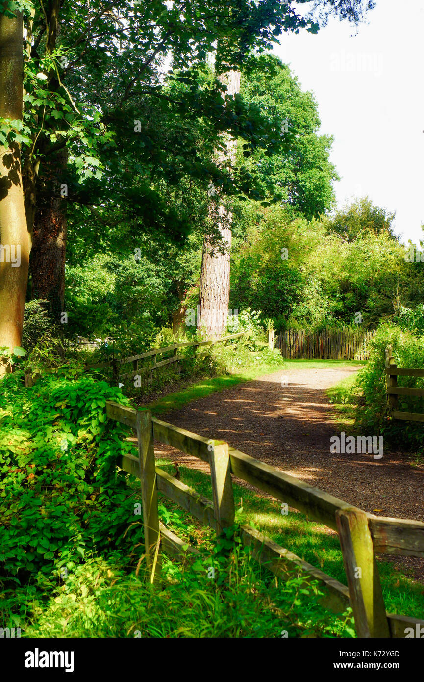 Woodland walkway through trees in hi-res stock photography and images ...