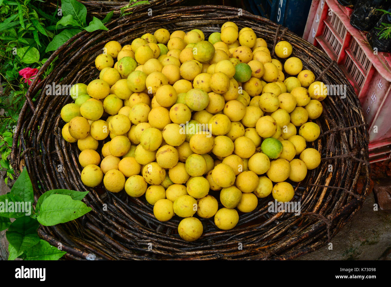 Selling yellow lemon on street market in Varanasi, India Stock Photo ...