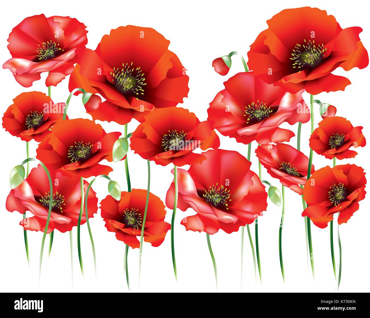 Pink poppy on background Stock Vector Images - Alamy