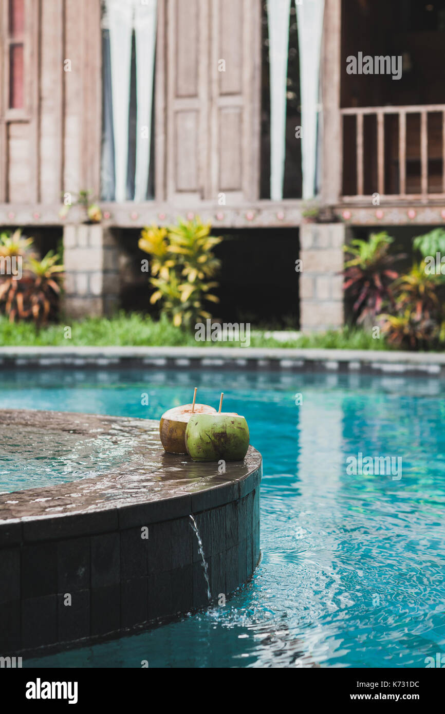 Two young fresh coconuts on edge of swimming pool with crystal clean ...