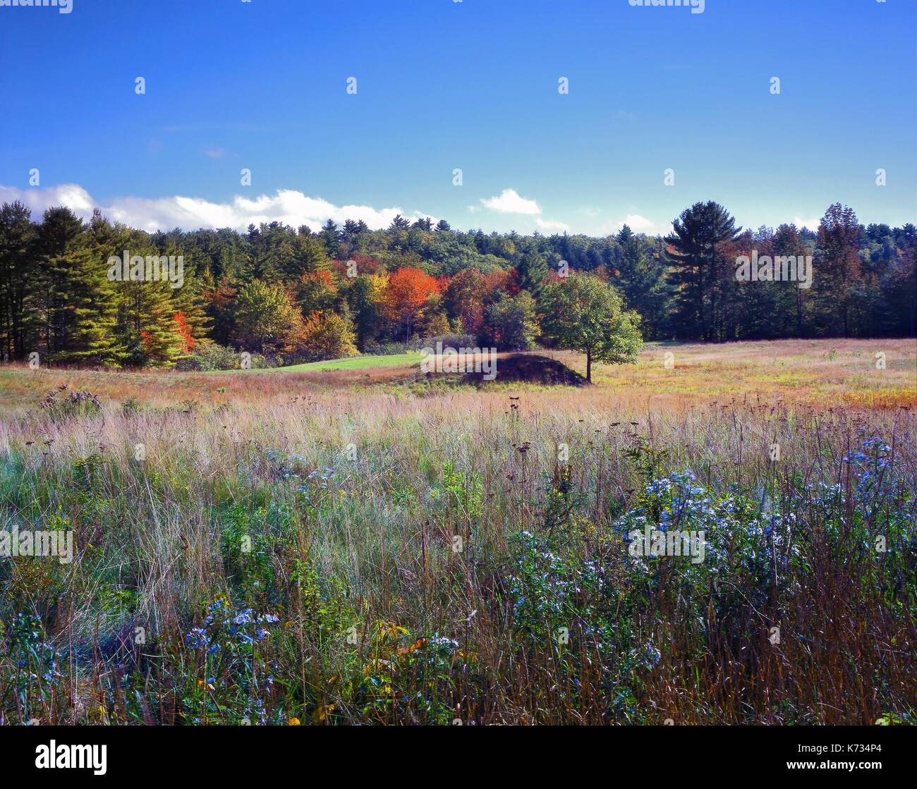 A fall view of the colorful rural landscape near Peaked Mountain, Maine ...